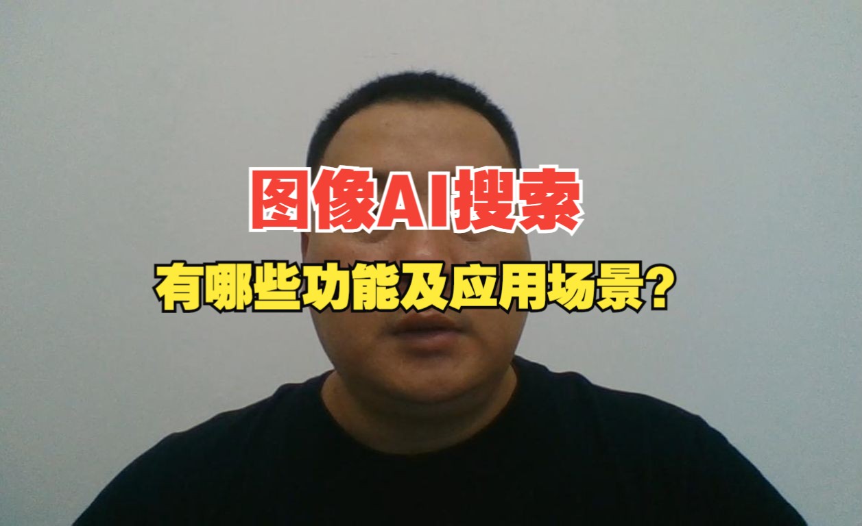 图像AI搜索有哪些功能及应用场景?
