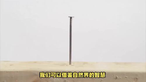没有锤子怎么把钉子锤进去