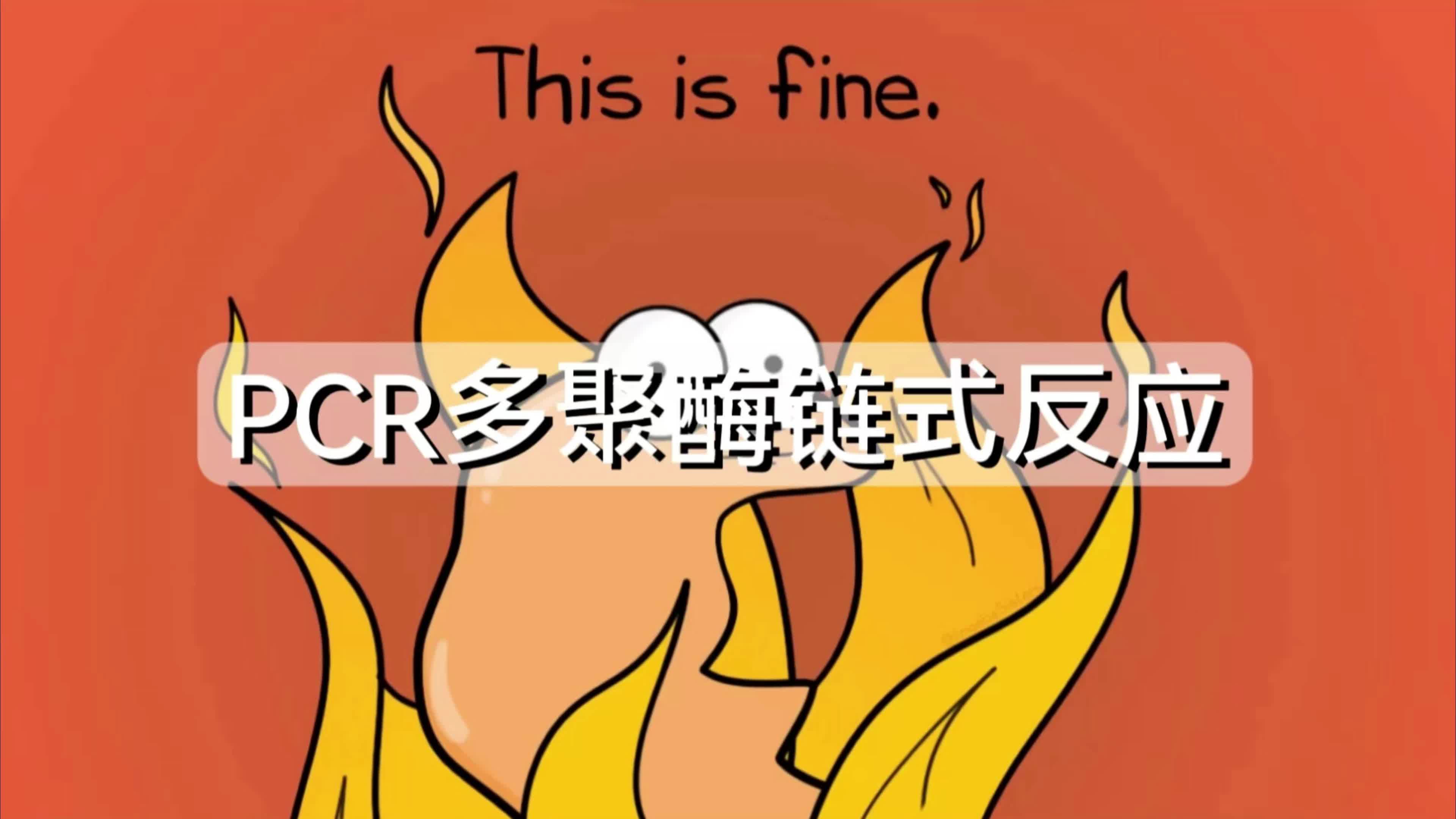 PCR多聚酶链式反应