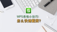 WPS表格小技巧:怎么快速截图?