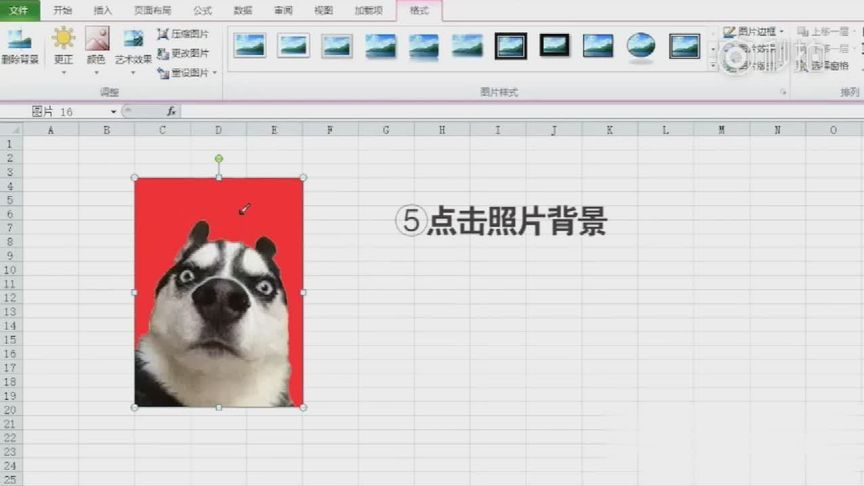 超实用!Excel20秒改好证件照底色