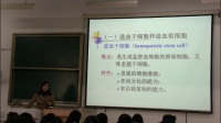 组织学与胚胎学-骨髓与血发生