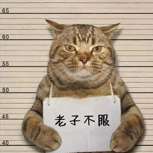天下多寂寥 