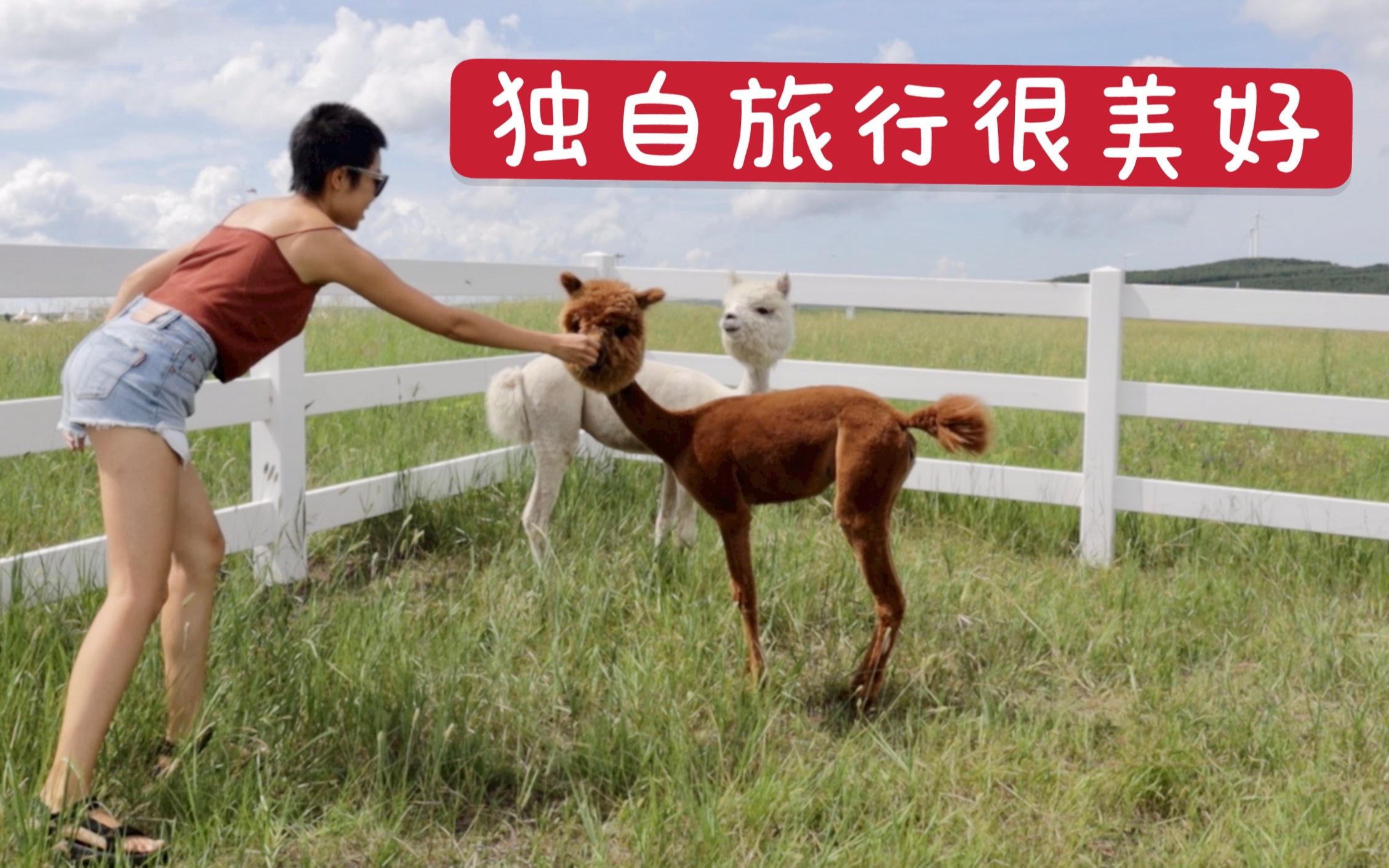 河北塞罕坝的草原湿地|偶遇粉丝啦|床车自驾Ep. 14