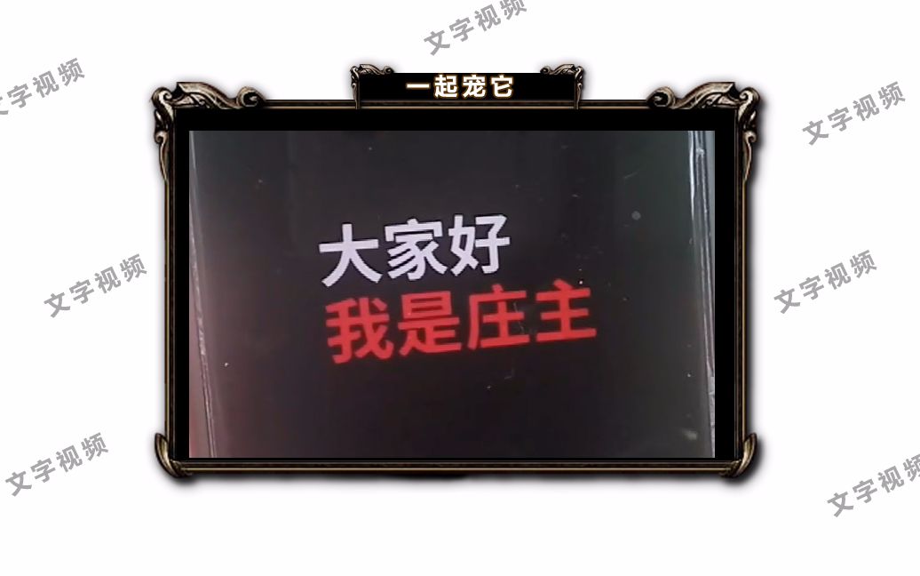 用这款软件,轻松做出抖音里的竖版文字视频