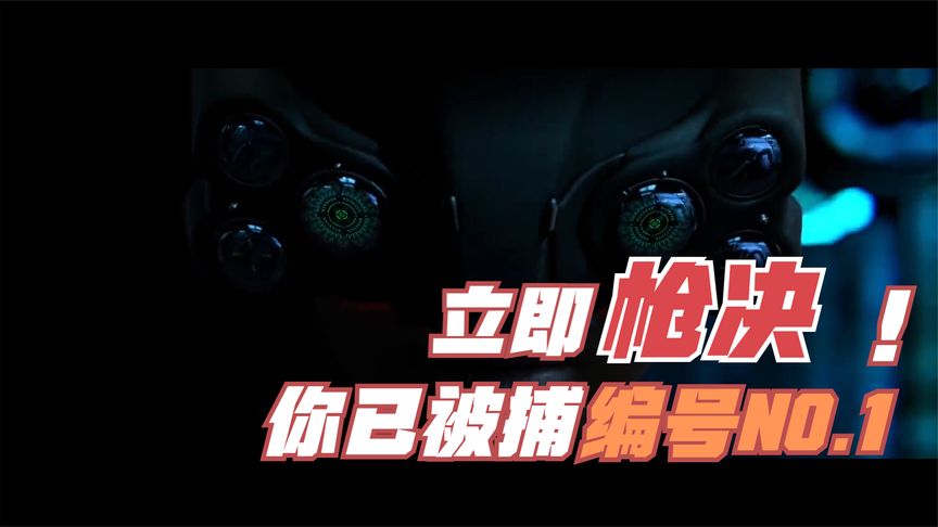 你已被捕,执行枪决,立即执行,档案编号2077