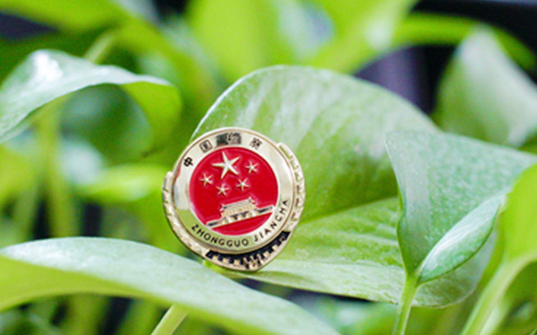 最高检:对“网红代言、直播带货”中的违法行为严肃查处