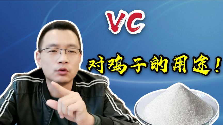 养鸡常识;巧用VC作用广,带您了解VC更多的用途。