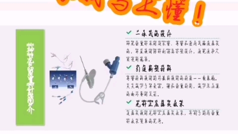 如何在手机上制作PPT?看完我这个视频你马上就懂!