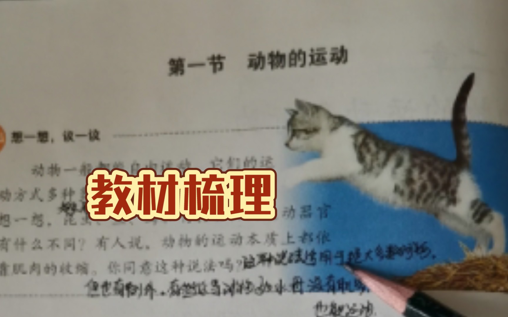 教材梳理//第二章第一节 动物的运动(人教版初中生物八年级上册)