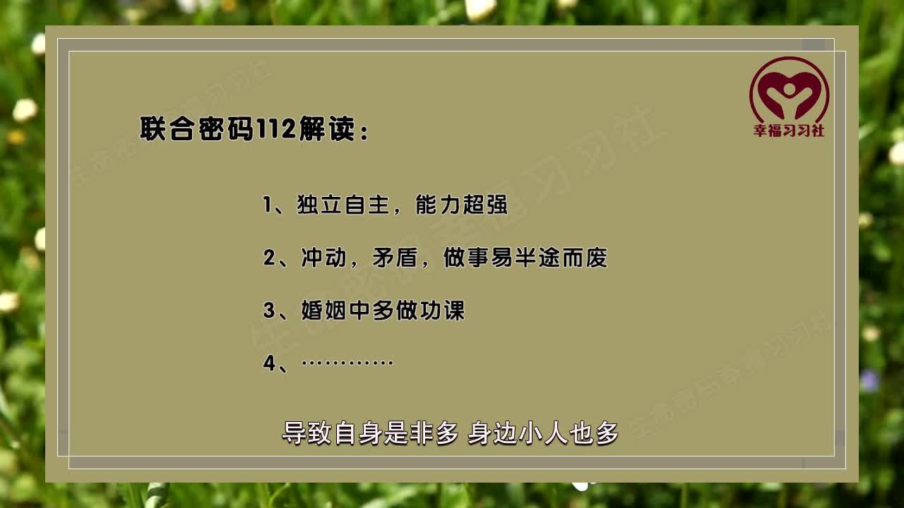 生命数字密码解读,生命密码81组联合密码解析之112