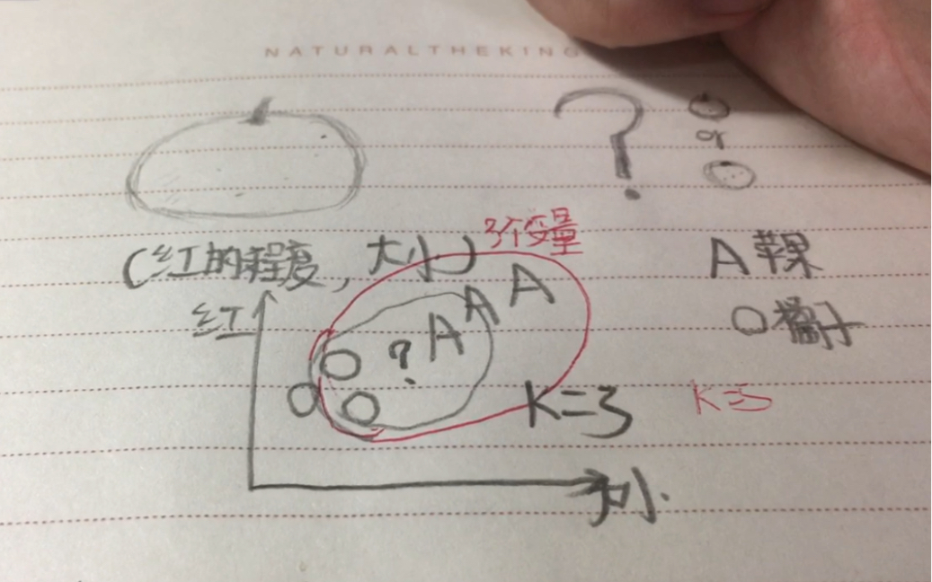 【算法思想】KNN算法
