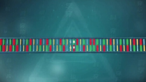 DNA复制机制详解:生物学原理与关键步骤