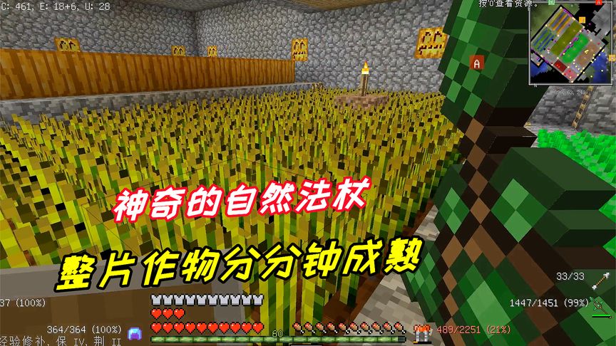我的世界虚无世界三58:神奇的自然法杖,整片作物分分钟成熟