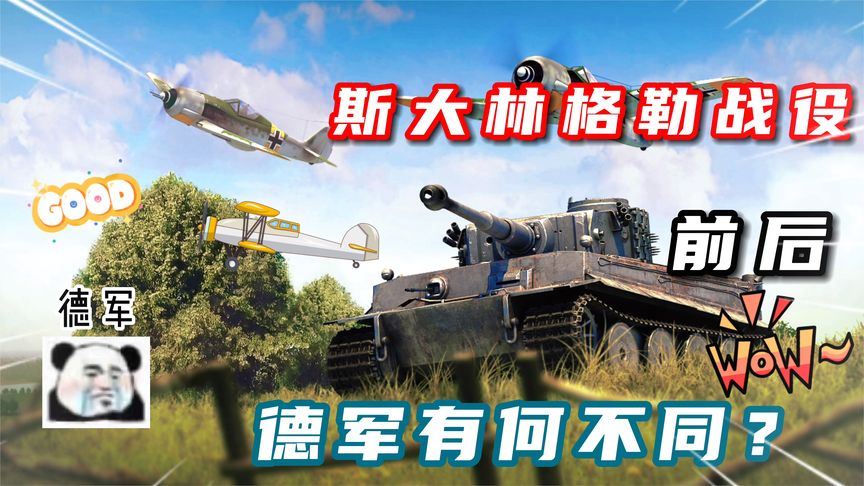 斯大林格勒战役前后的德国,德国:你能知道我的痛吗?