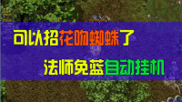 热血传奇怀旧版:40级就可以招花吻蜘蛛了 法师自动挂机不费蓝了
