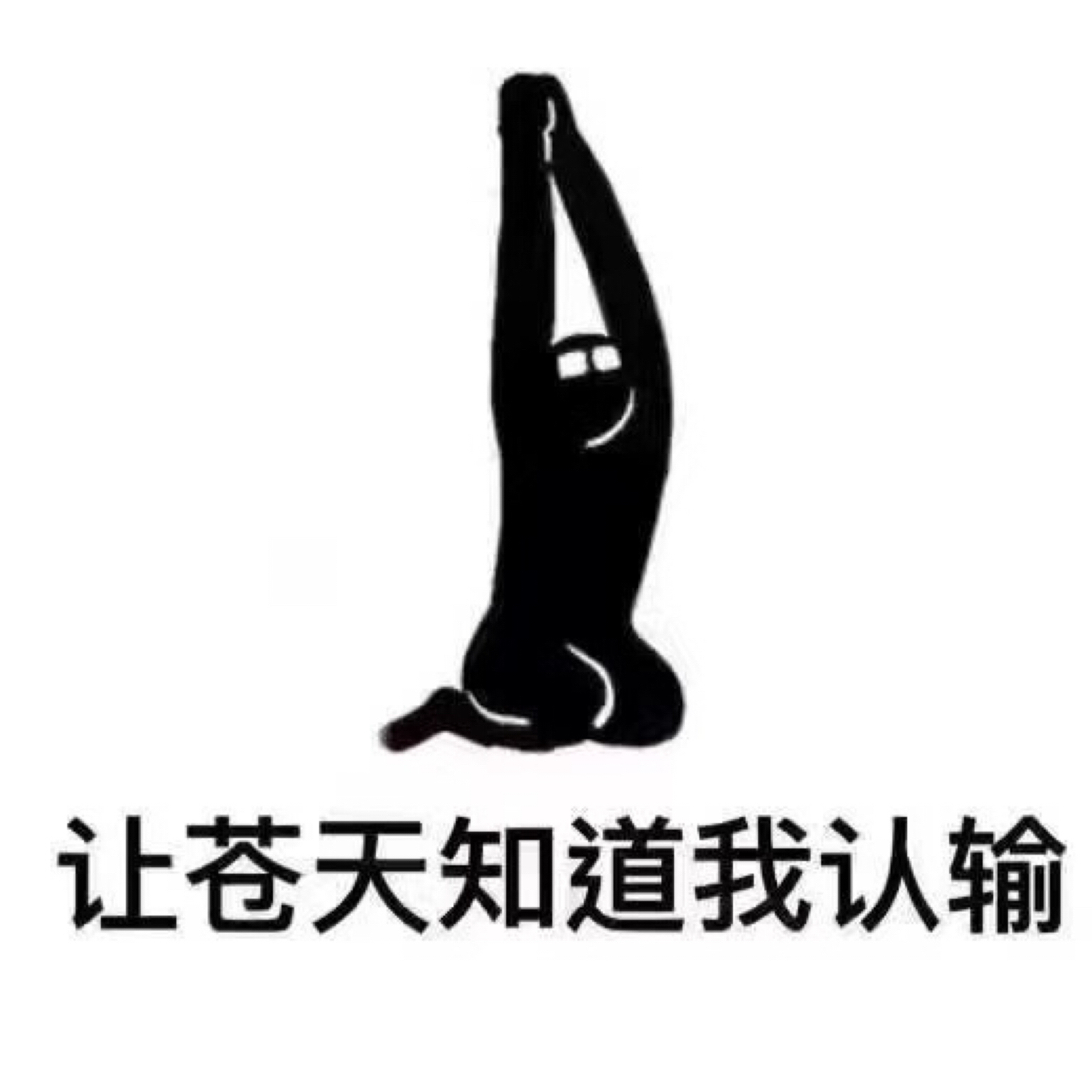 俯瞰风景Official 