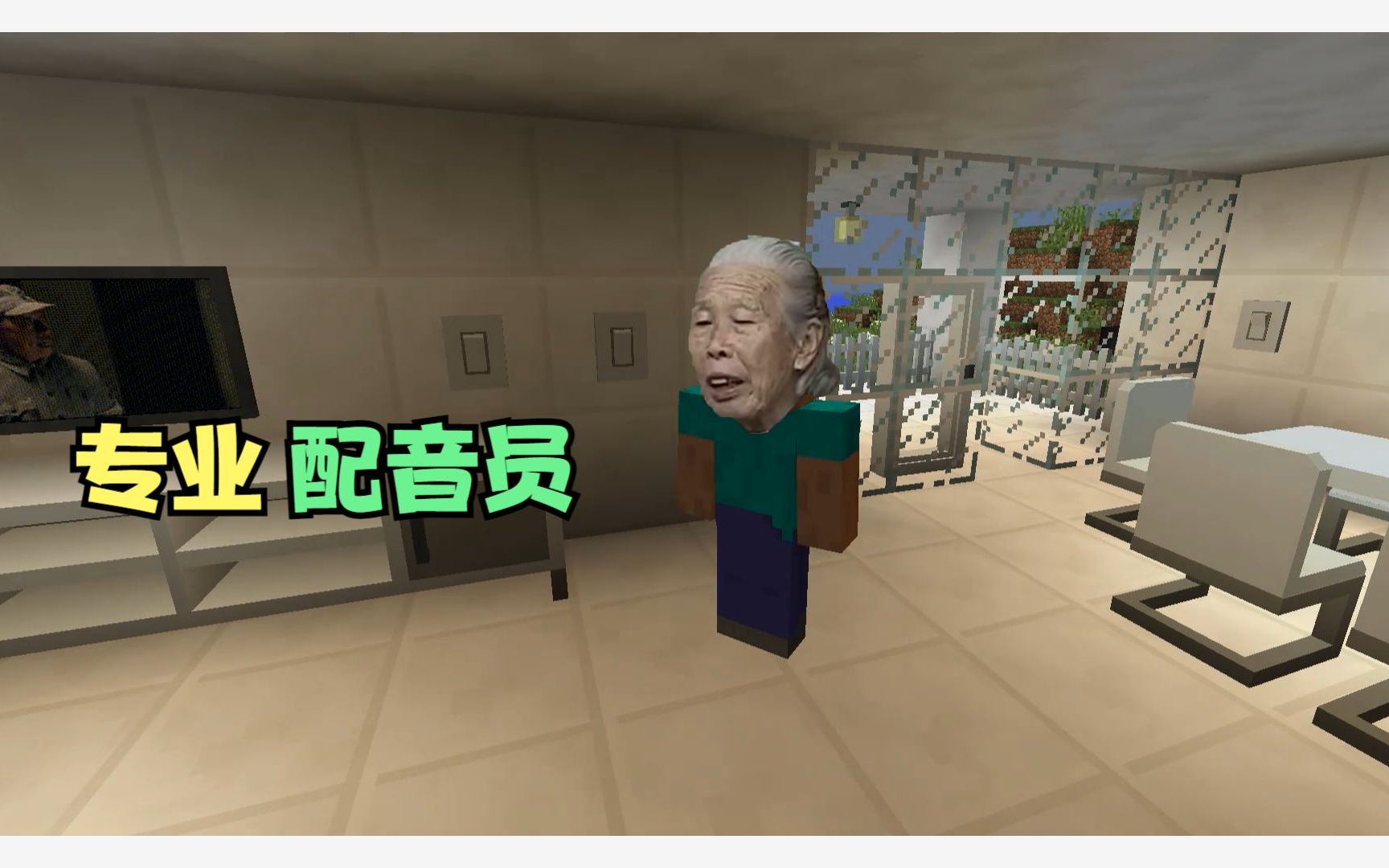 我的世界:专 业 配 音 员