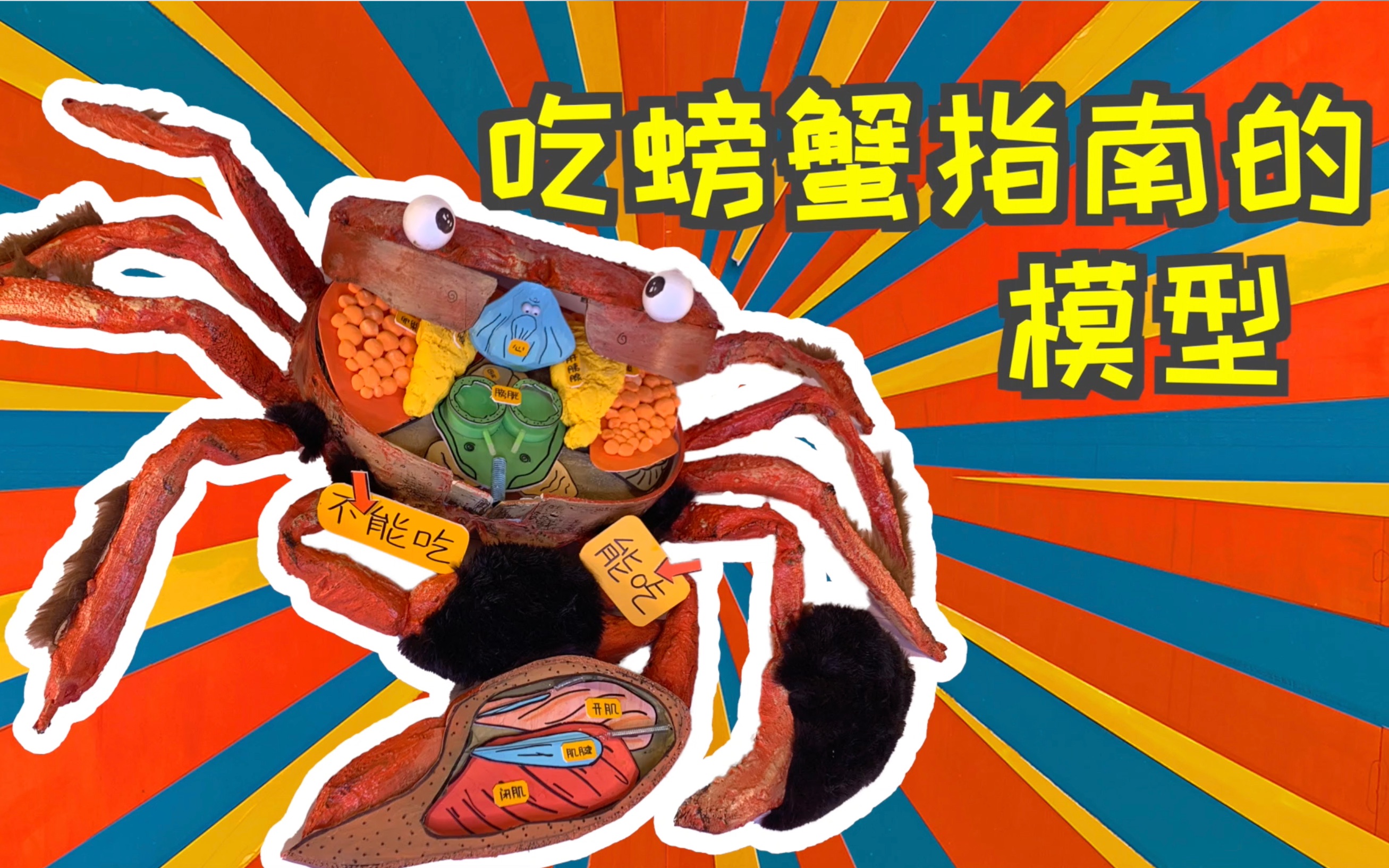 【模型师老原儿】硬核巨蟹蒸熟了!来康康哪不能吃?