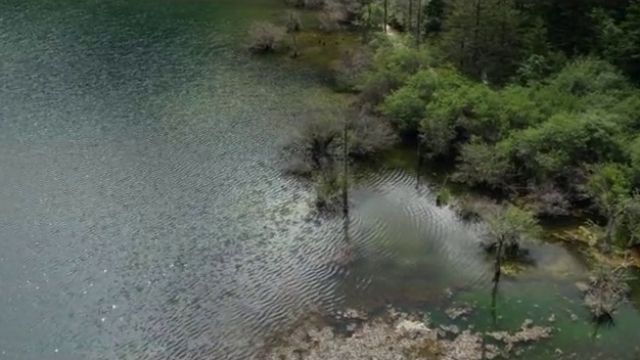 森林草原防灭火:甘孜州森林防火知识宣传片