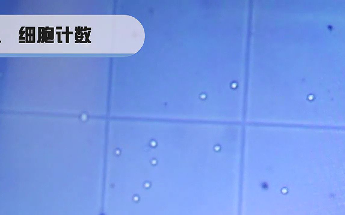 细胞计数法,MTT法,CFSE增殖分析法,Ki-67标记法——细胞生物学实验...