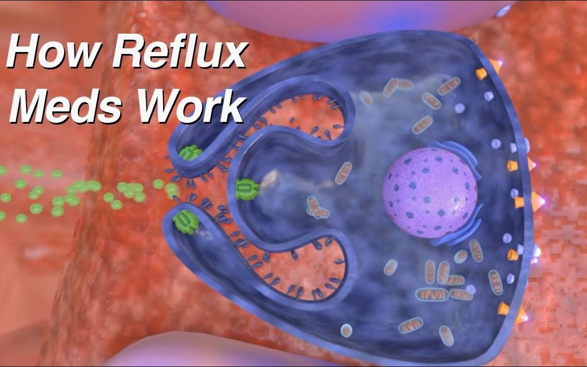 抗胃食管反流药物如何发挥作用(质子泵抑制剂、H2阻断剂、海藻酸盐)?