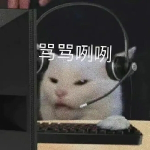 段王爷dzh 