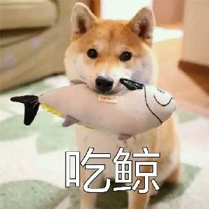 馮劍煜 