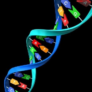薛叨叨生物 