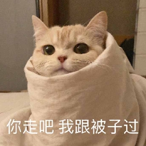 某条不透露名姓的咸鱼 