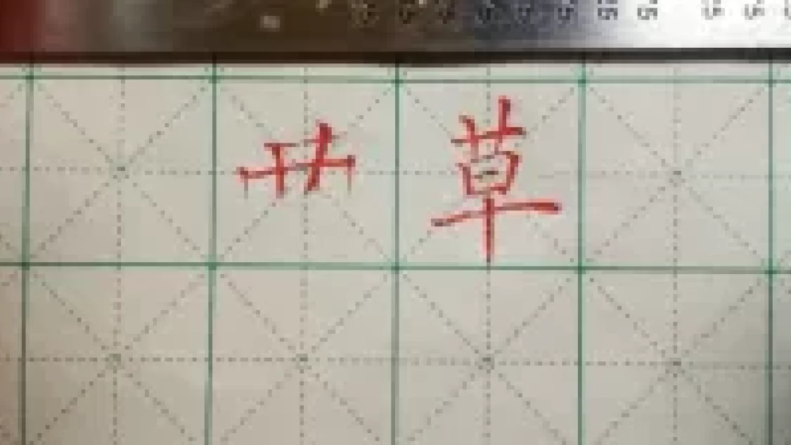 硬笔书法入门,基础笔画练习,左右斜竖的写法