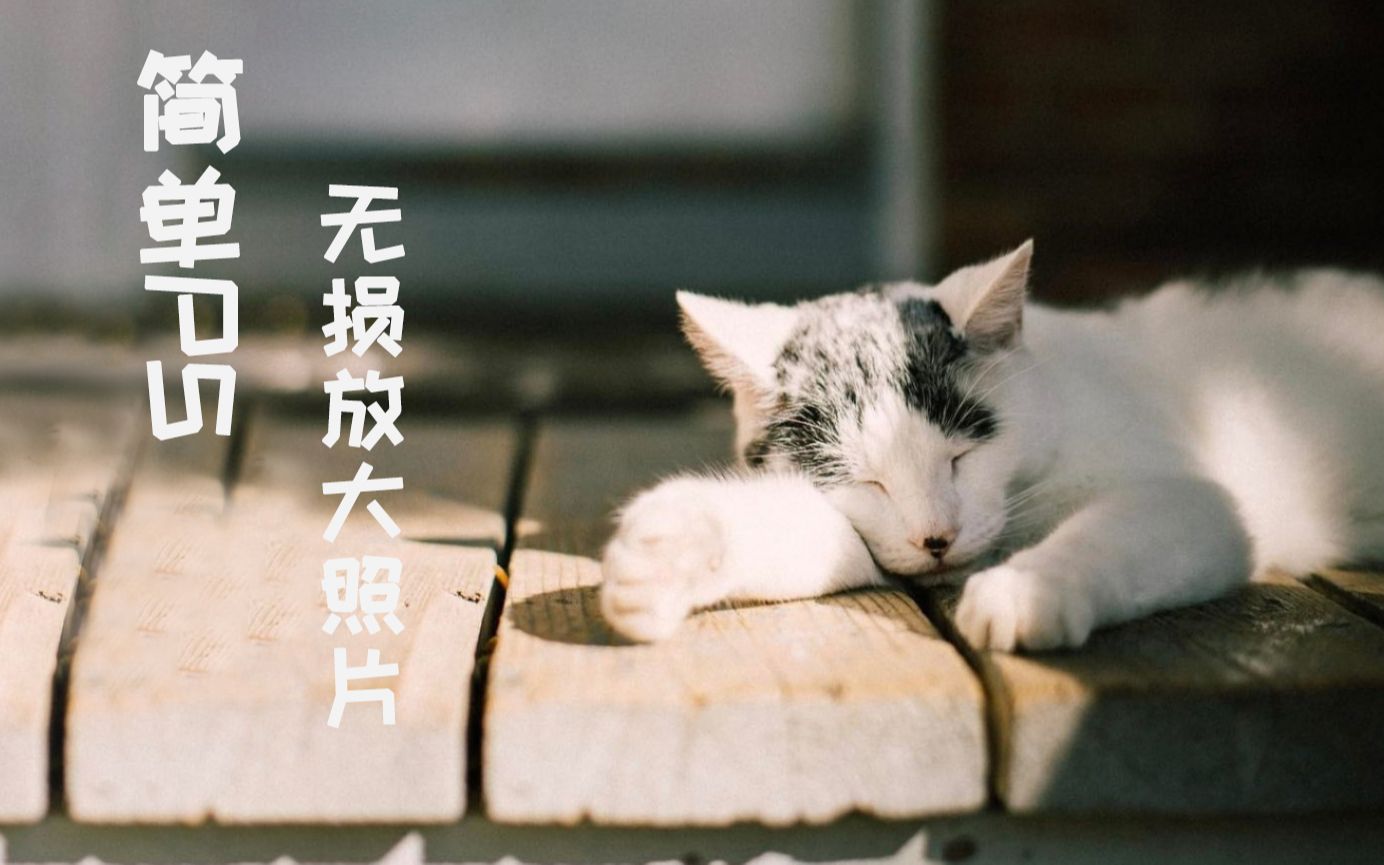简单PS—一个小技巧教你做到无损放大照片