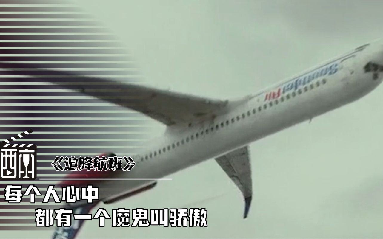 这部豆瓣7.3分的空难电影,机长把飞机倒着开,成功拯救机上乘客