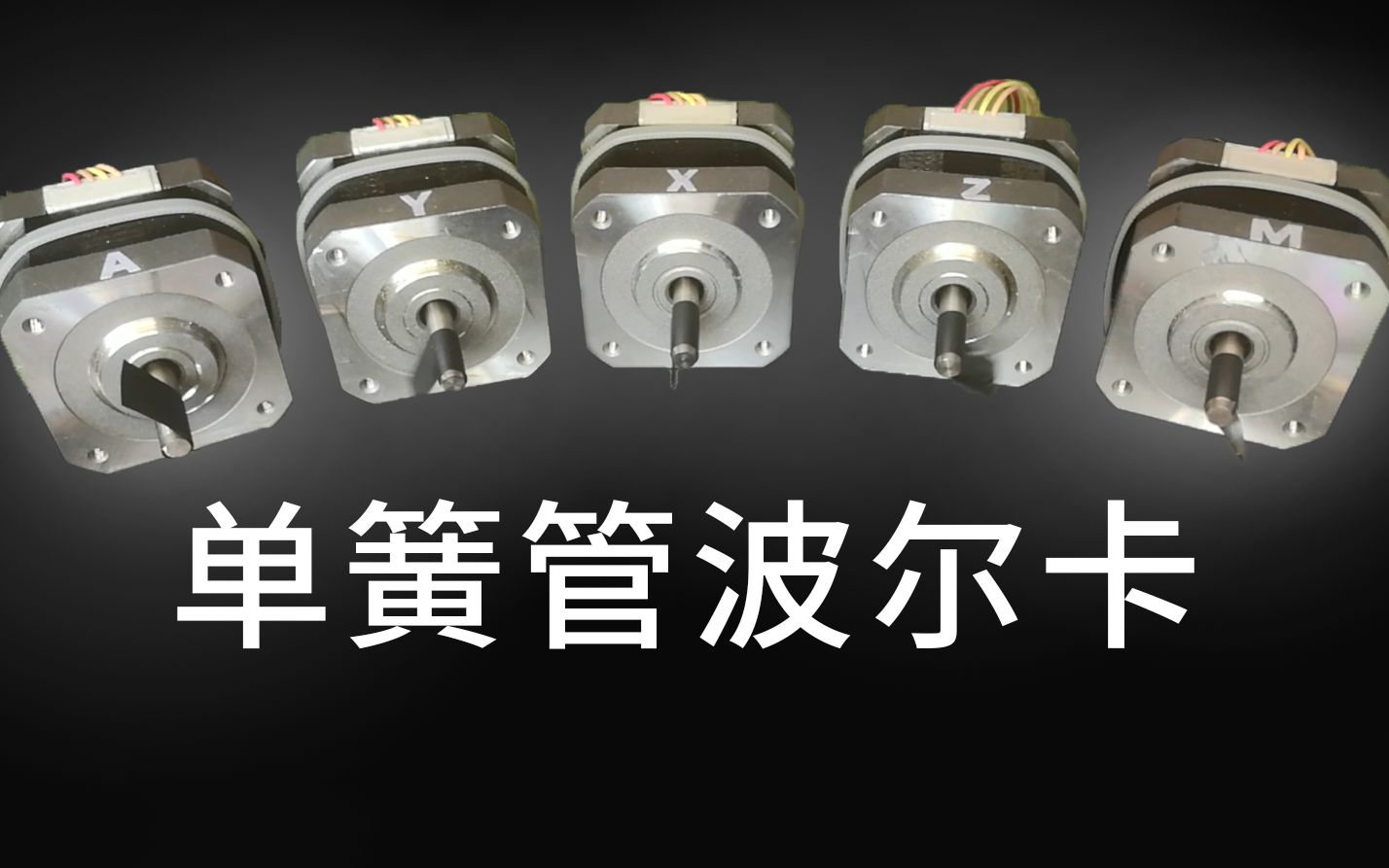 【电机】单簧管波尔卡