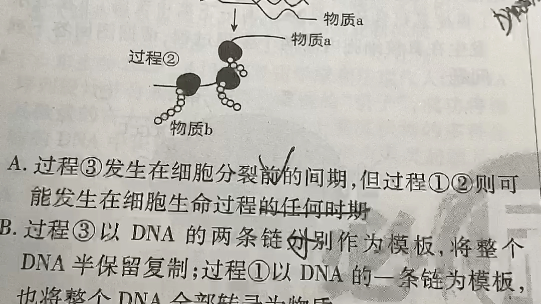 生物必刷题必修一 基因的表达
