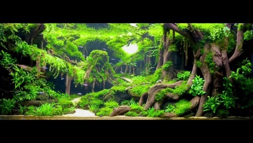 在这片宁静的森林中,与小动物们一起发现生活的惊喜与快乐