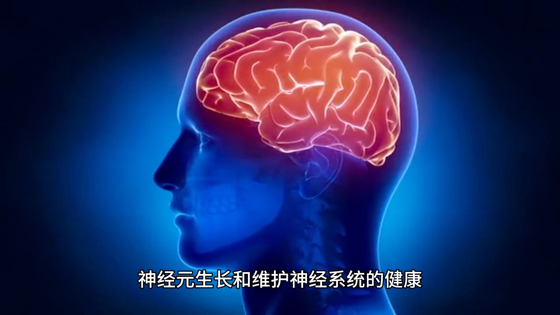 维生素B对人体的作用