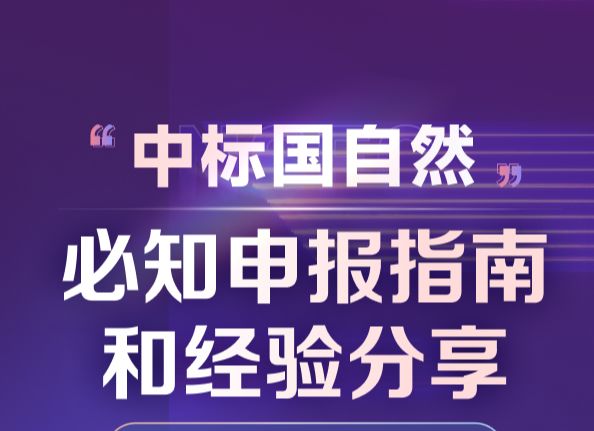 最后 3 个月,2025 年国自然基金标书必知申报指南和经验分享