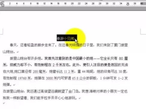 2.4《设置文字格式——字体、字号和颜色》1