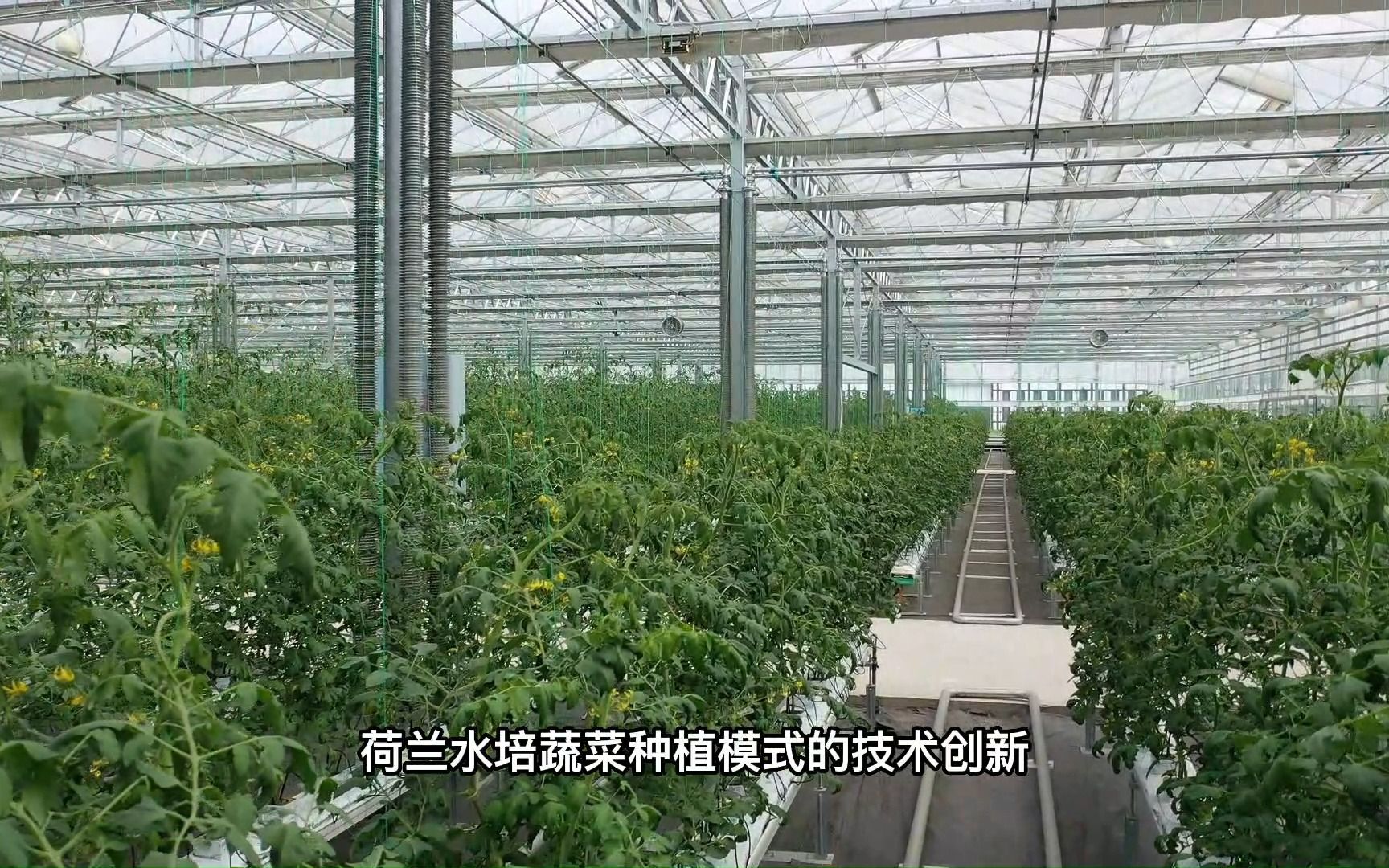 第二集 良田百世——智能温室 无土水培原来是这样栽种的!