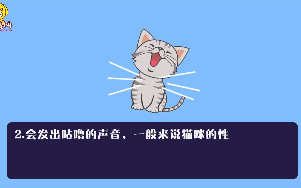 怎么确定猫认主人了