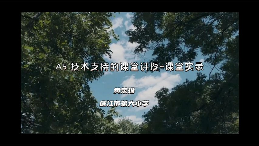 A5 技术支持的课堂讲授-课堂实录.mp4