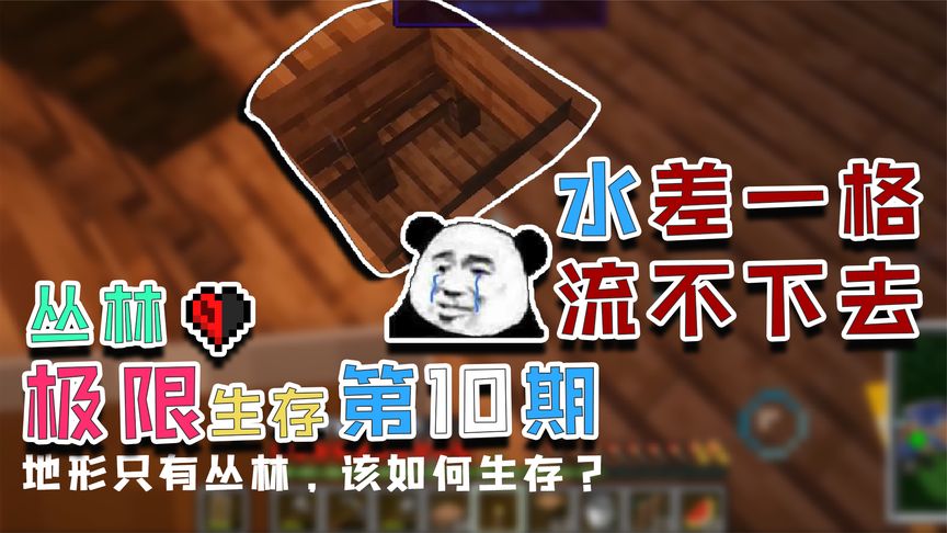 我的世界:世界里只有丛林地形?抽水马桶都做不好了