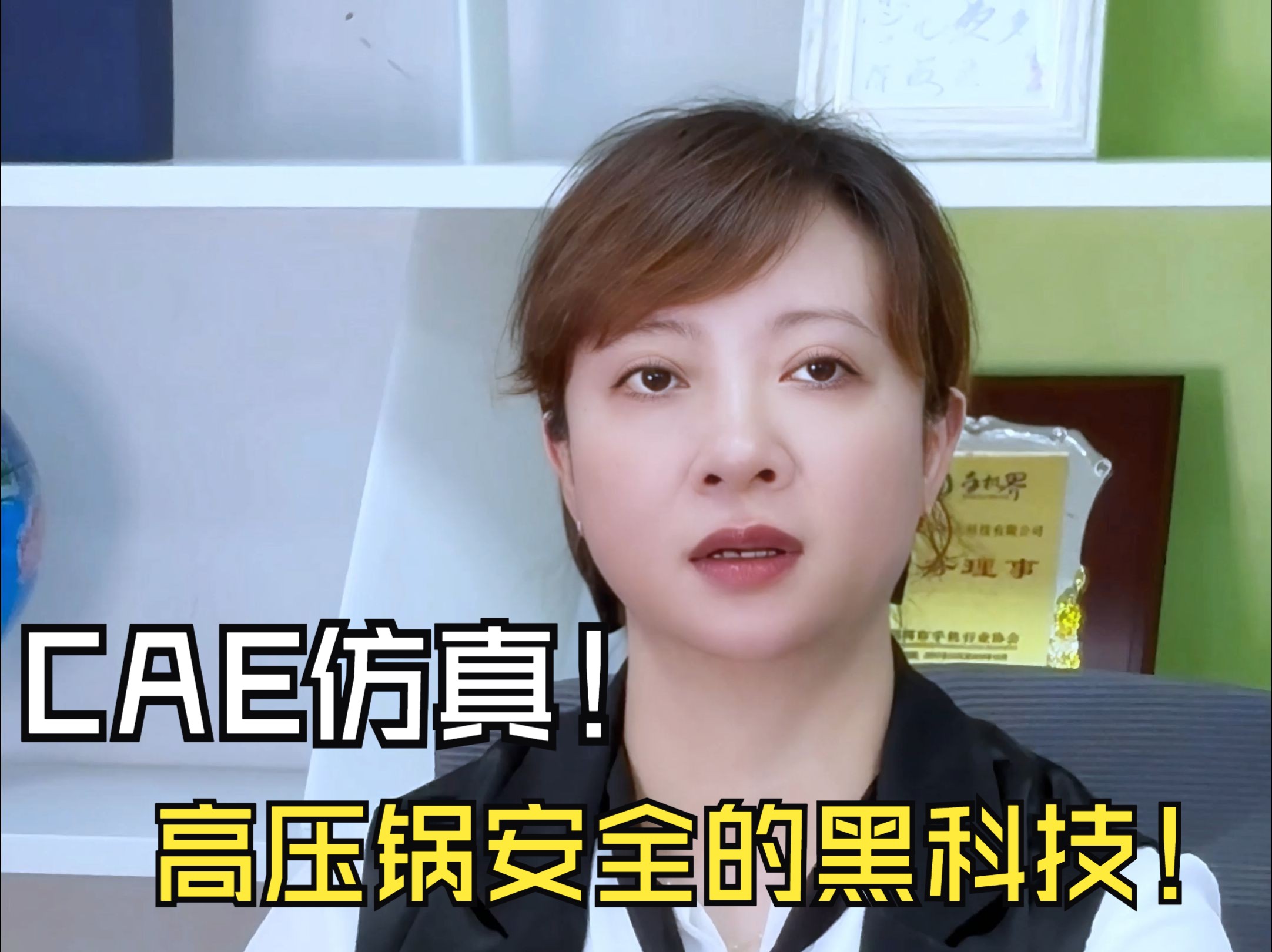 谁懂啊?原来高压锅背后还能用CAE仿真来提升安全性