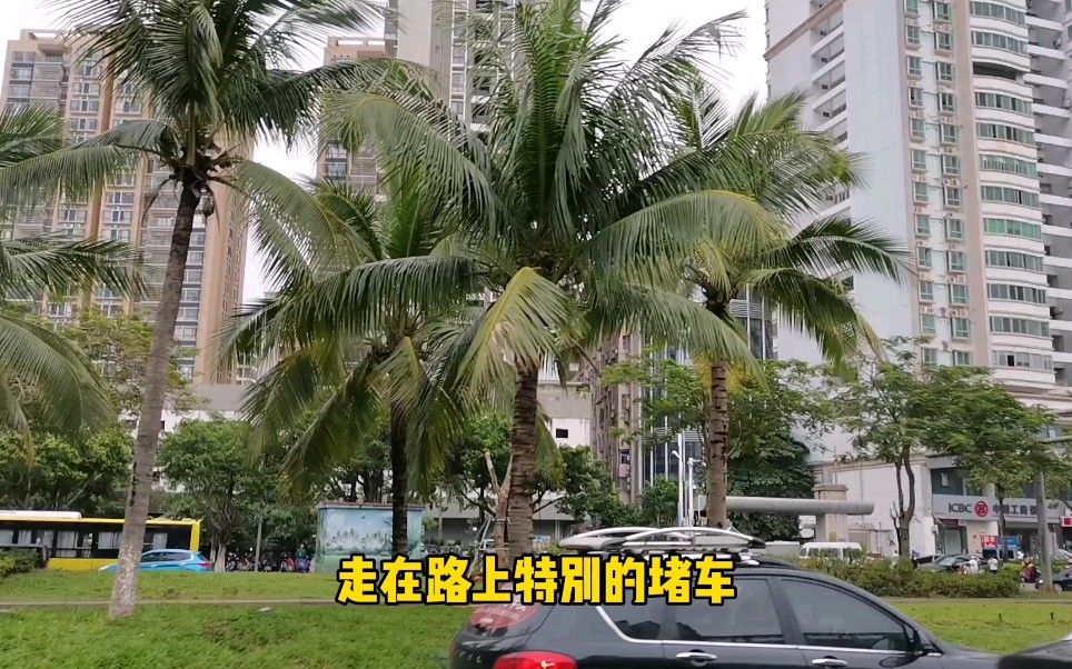 海口常住人口287.33万,路上特别堵车,高楼也多,我遇上急躁司机