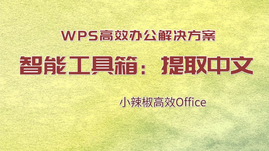 WPS办公特色应用-自动提取中文