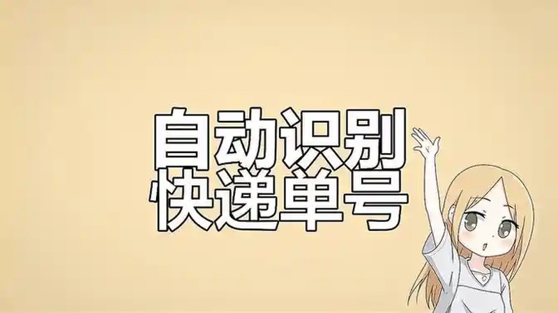 快递单号批量查询与物流表格导出
