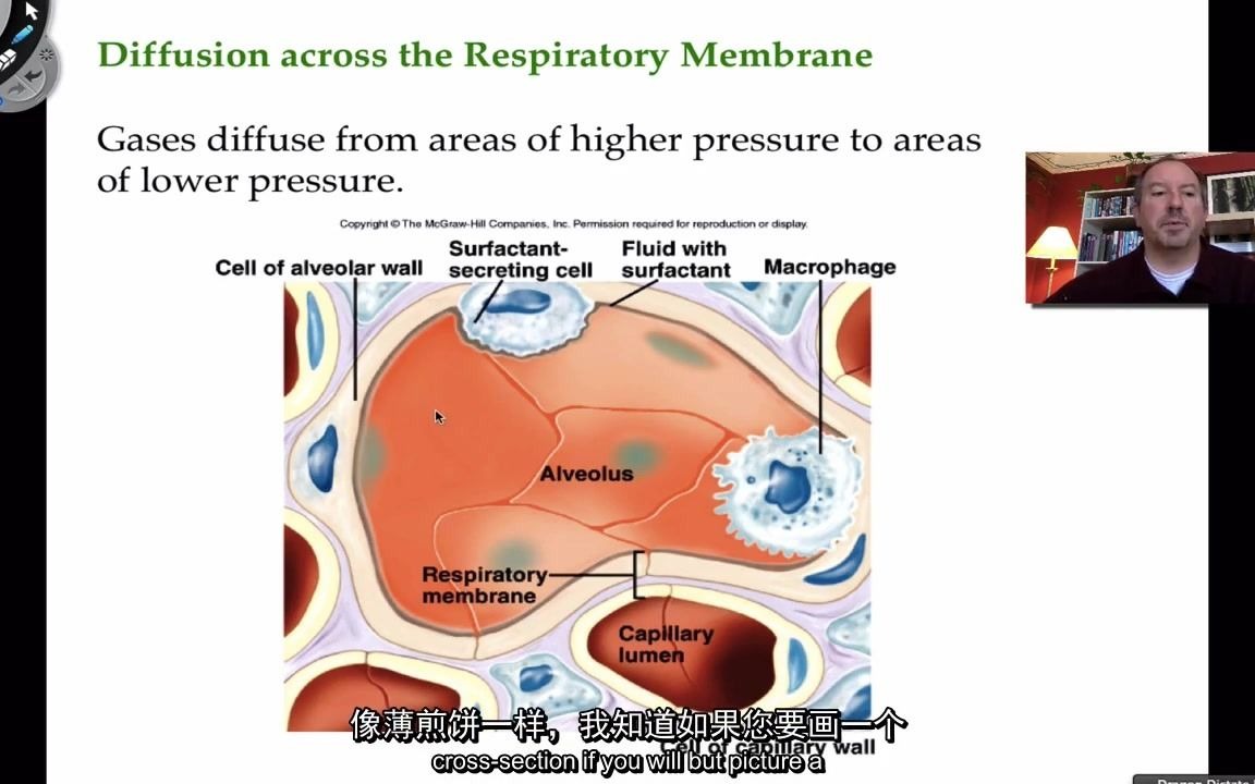 气体交换与运输