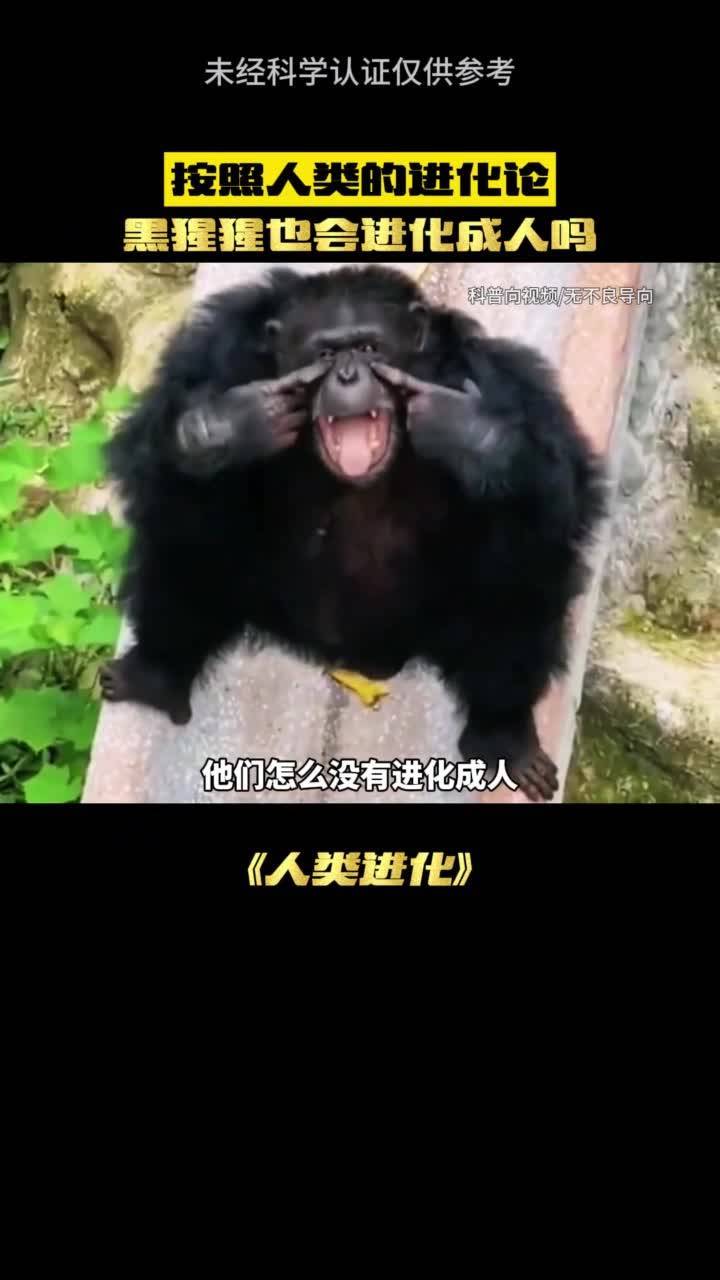 科学:人是怎样进化的#科普#冷知识 #人类起源