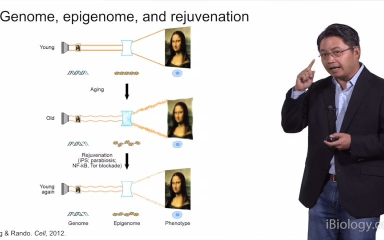 [英文] 表观遗传 Part 1_ Epigenomic Technologies